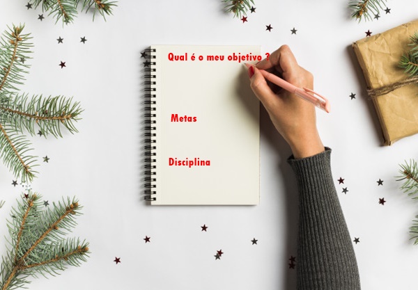Como Alcançar os Objetivos 3 Dicas Infalíveis pagina